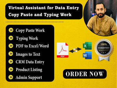Copy Paste data entry, manual typing, Convert PDF into Excel and Word | Upwork