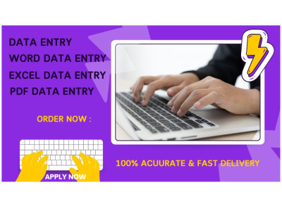 Professional data entry service | Upwork