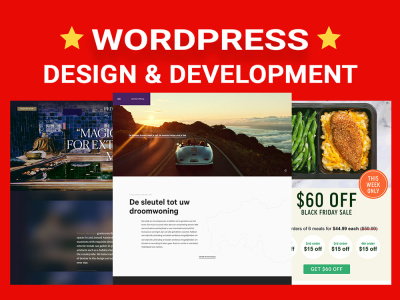 WordPress Website | WordPress Developer | WordPress Expert | WP ...