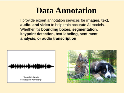 AI Training Data Annotation | Image, Audio & Video Labeling | Upwork