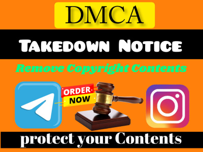 DMCA Service to Remove Leaked, Infringing Content from Instagram ...