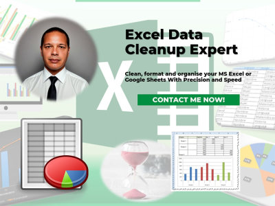 Well formatted, cleaned and organized data in your Excel or Google Sheets | Upwork