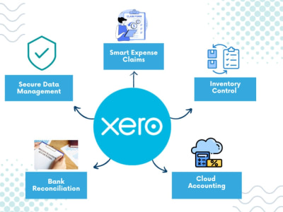 A Xero Financial Statements preparation & it's analysis reports | Upwork