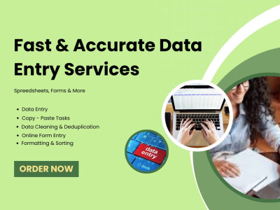 Accurate & fast data entry services | Upwork