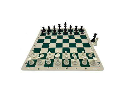 Chess Tutoring from scratch, no experience needed | Upwork