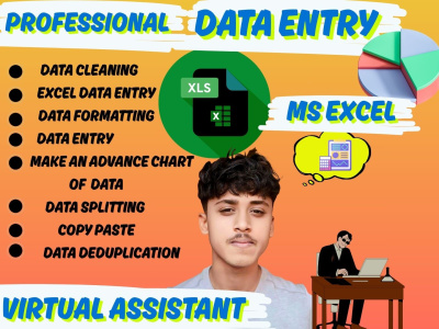 Data Entry, MS Excel, MS power BI, Data entry in excel | Upwork