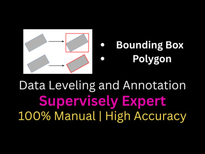 Data leveling and annotation service using bounding box and polygon ...