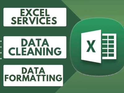 Clean Excel data entry, formatting, cleanup, and formulas. | Upwork