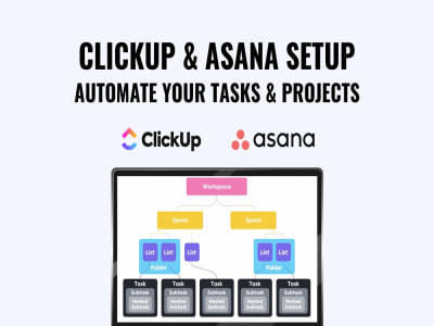 Expert Asana setup with task tracking and team workflows | Upwork