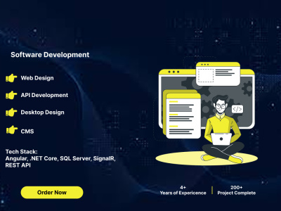 Software Services | Software Developer | Software Development | Upwork