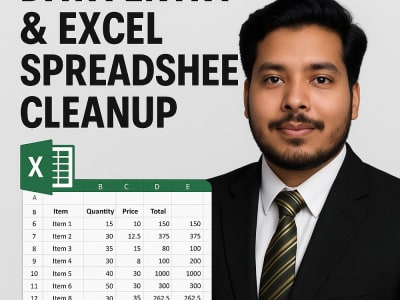 Data Entry & Excel Spreadsheet Cleanup | Upwork