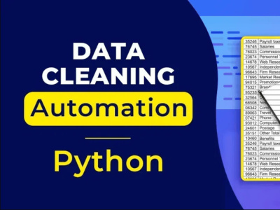 Custom Python Scripts for Data Cleaning and CSV Automation | Upwork