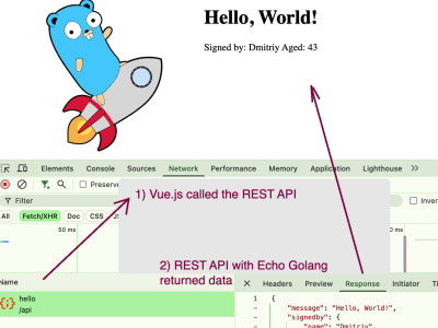 The best Full-Stack App on Golang (RESTful API by Echo) + Vue.js | Upwork