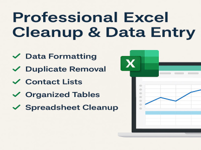 Professional Excel Cleanup & Data Entry | Upwork