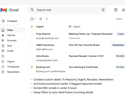 Reliable Virtual Assistant for Inbox Management, Scheduling, Admin ...