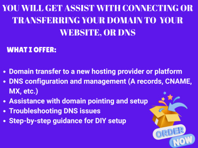 Assist with connecting or transferring your domain to your website, or dns | Upwork