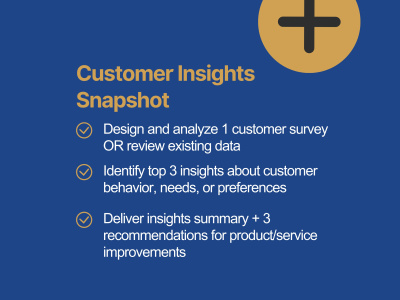 Customer Insights Snapshot for Small Businesses | Upwork