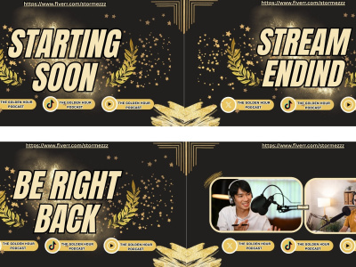 Custom streamyard, streamlabs, obs overlays for your youtube podcast ...