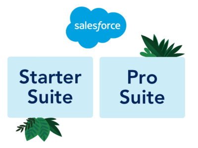Salesforce Starter implementation, setup, support or customization | Upwork