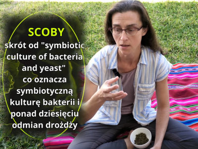 Audio & Video Production – Wellness, Education & Mindfulness (PL & ES ...