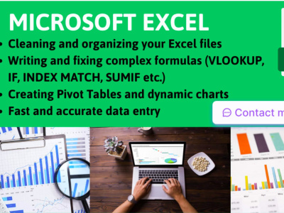 Professional Excel formatting, custom templates, formulas, and data ...
