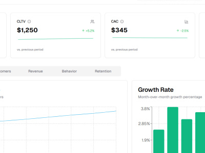 Business Growth Analytics Dashboard | Upwork