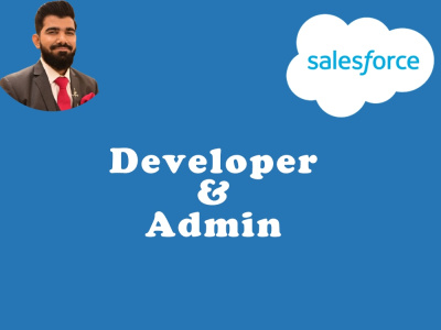 Certified Salesforce Developer and Admin | Upwork