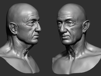 Sculpt 3d bust model 3d head model face 3d portrait zbrush for 3d printing | Upwork