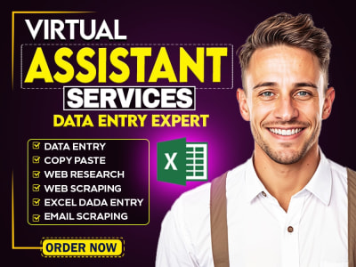 Reliable Virtual Assistant for Data Entry, Copy-Paste & Data Mining ...