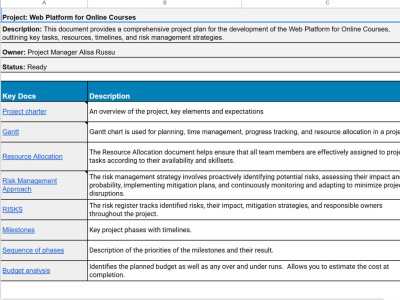 Project Plan + Timeline + Risk Matrix | Upwork