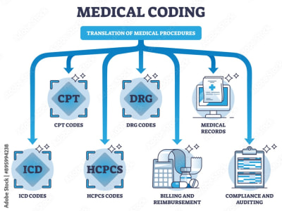 High-standard medical coding services | Upwork