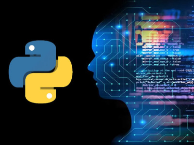 Python MVP Development | API Integration | Upwork