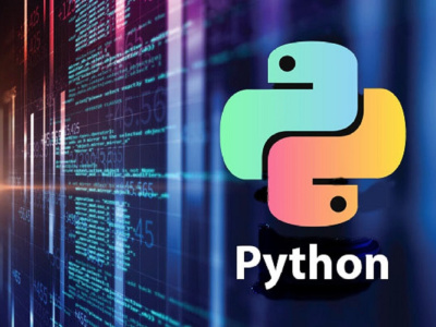 Custom Python Web Application Development | Upwork