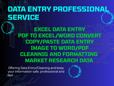 Online/offline Quick and professional Data Entry | Upwork