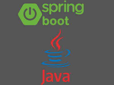 Performance and security evaluation of Java / Spring Boot project | Upwork