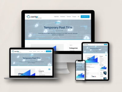 Custom Blog Template with ACF & Front-End Filters | Upwork