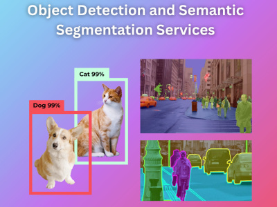 Expert object detection and semantic segmentation annotation services ...