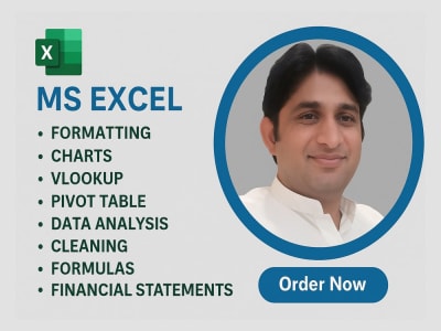 Excel Dashboard, Data Cleaning, Data Analysis & Data Visualization Services | Upwork