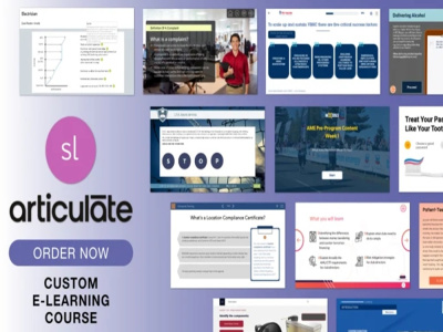 ELearning Developer | Articulate 360 Expert | Storyline & Rise ...