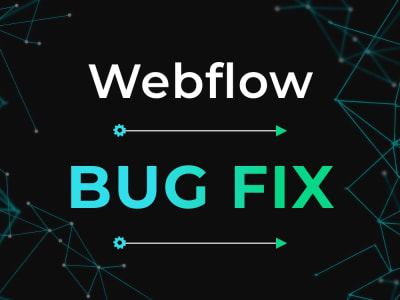 Webflow Bug Fix Expertly | Upwork