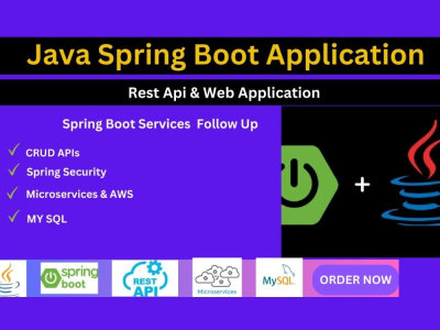 Expert java spring boot developer for rest API | Upwork