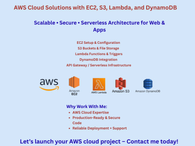 AWS Cloud Developer | EC2, S3, DynamoDB, Lambda Integration Expert | Upwork