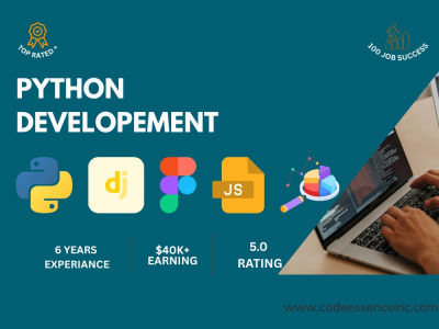 A complete business solution with a Python backend and custom frontend ...