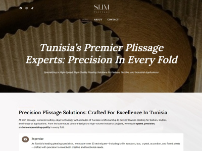 Professional Wordpress Website Design Development Upwork