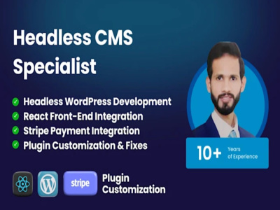 CMS Development, Custom/Plugins, Headless with React.js, Next.js/WordPress | Upwork