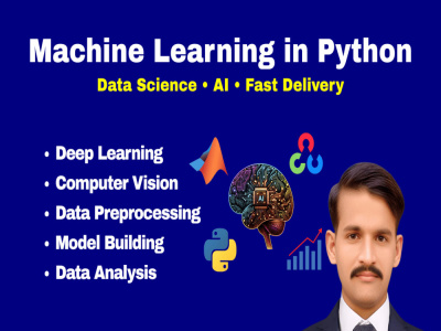 A custom machine learning or computer vision model in Python or MATLAB ...