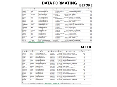 DATA CLEANING AND FORMATING | Upwork