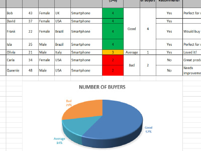 Professional Survey Data Entry with Conditional Formatting, Visual ...