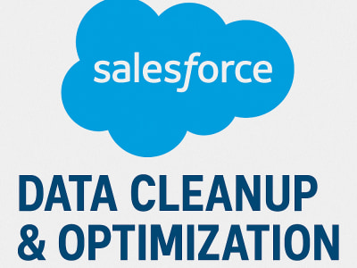 A Salesforce Data Cleanup & Optimization package | Upwork