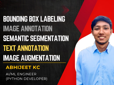 Image Segmentation & Object Detection | YOLO, DINO, Faster R-CNN | Upwork